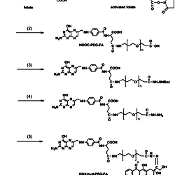 Reaction scheme for the synthesis of DOX-hyd-PEG-FA conjugate.