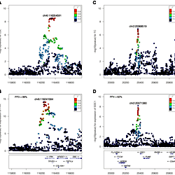 Illustration of the colocalisation results.