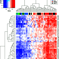 Hierarchical clustering heat map of gene set variation analysis ...