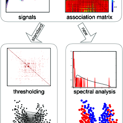 Illustration of the procedure of functional module identification from ...