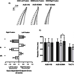 Auditory cues for somatosensory targets invoke visuomotor ...