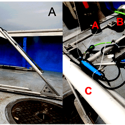 Characterizing the benthic community in Maryland’s offshore wind energy ...