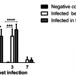 Evaluation of the pain threshold by the von Frey method in animals ...