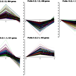 The five significant expression profiles detailed in expression graphs.