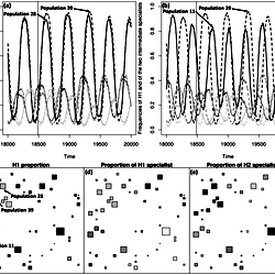 Example of population aggregates synchrony.