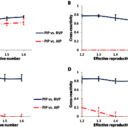 Mean indifference curves for PIP vs. RVP and PIP vs. AIP.