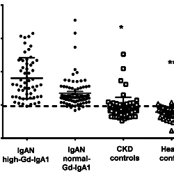 Serum levels of Gd-IgA1-specific IgG in IgAN patients with high-Gd-IgA1 ...