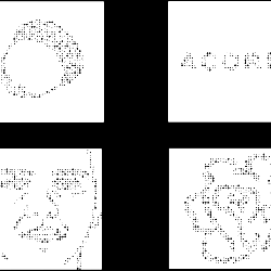 Stimuli for the Visual Word Form Area (VWFA) Localizer.