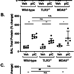 Inside/out barrier function assayed measured after FITC-dextran i.p ...