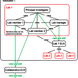 A schematic diagram presenting a OneNote ELN-sharing workflow.