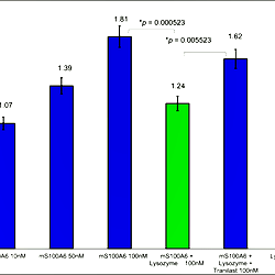 The WST1 assay.