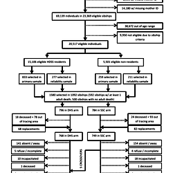 Flow diagram of the enrollment process.