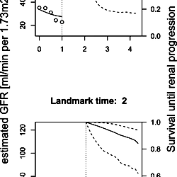 Dynamic prediction at various landmark times.