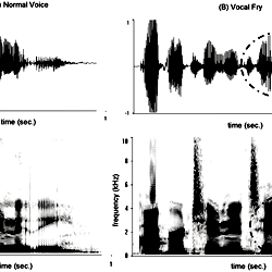 Waveform and spectrogram of the same woman saying the word “opportunity ...