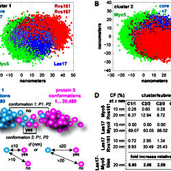 Visual representation of 3-dimensional complex conformations within ...