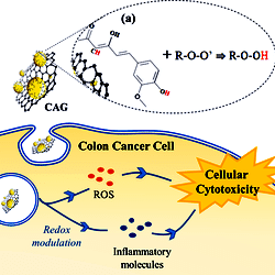 Schematic illustration of the proposed CAG interaction and mechanism of ...