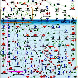 GeneGo pathway “Cytoskeleton remodeling”.