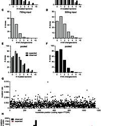 Error-prone PCR mediated mutagenesis of hIP receptor.