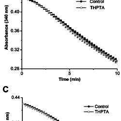 THPTA-assisted CuAAC reaction and its effect on the enzymatic activity.