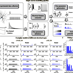Models of different TC e-types and their fitting errors.