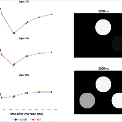 Magnetization transfer.