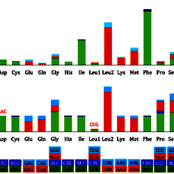Codon usage pattern and relative synonymous codon usage (RSCU) of mtDNA ...