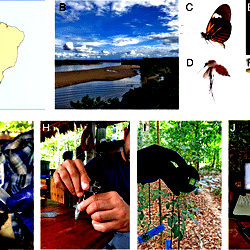 Overview of steps involved with sample collection, use of the 3D-Fuge ...