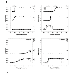 Experiment II results.