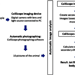 Item - Flow chart of the CollScope method. - Public Library of Science ...