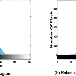 Pixels intensity histograms.