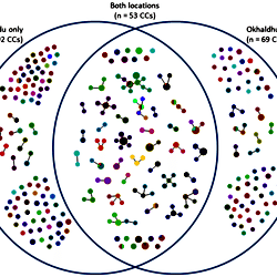 Clonal complexes (CCs) found in only one geographical location, or in ...