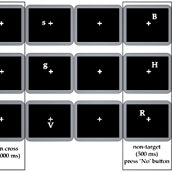 Schematic diagram of the n-back task, separately for each task load.