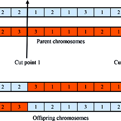 Example of two-point crossover with label-based solution representation for a clustering ...
