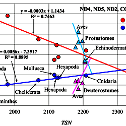 HYD and TC versus TSN.
