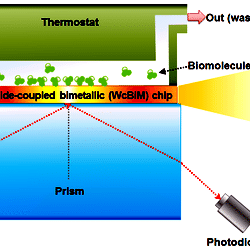 Schematic diagram of the SPR sensor system and the WcBiM chip ...