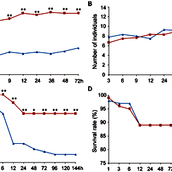 Host preferences and survival rates for Biotype 1 and 2 on TN1 and ...