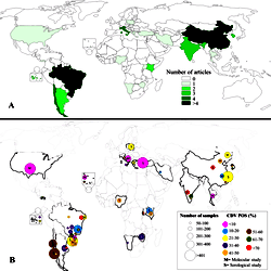 World map with the geographical distribution of the studies.