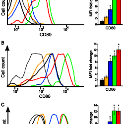 Phenotypic study of moDC maturation.