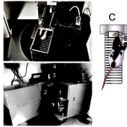 Experimental device used for delivering tactile stimulation.