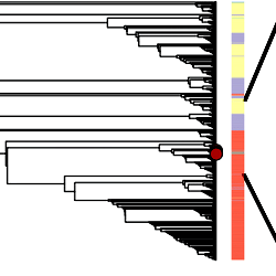 Neighbor-Joining tree representing MASH generated distance matrix based ...