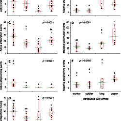 Termite behavioral responses to a worker, soldier, neotenic king, and ...
