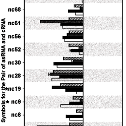 Validation of RNA-Seq data using ss-qPCR.