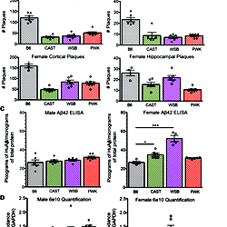 Differences in plaque counts and amyloid deposition.