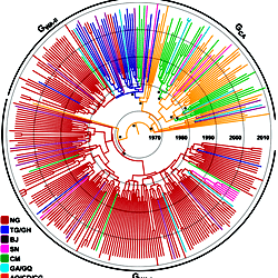 Time-scaled Bayesian MCC tree of the HIV-1 subtype G pol PR/RT ...