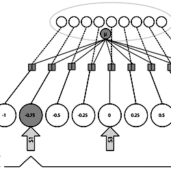 ARC model used for simulations.