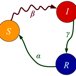 State diagram for the SIRS model.