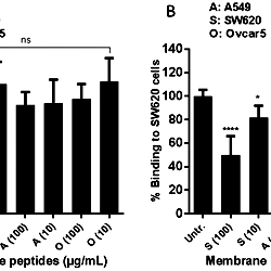 SW620 trypsinized peptides inhibit binding of LGTV to SW620 but not A549.