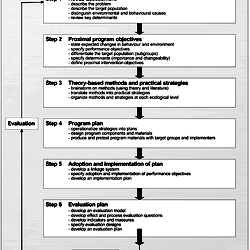 The six steps of the Intervention Mapping process [20].