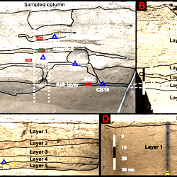 Test trench profiles examined in this study.