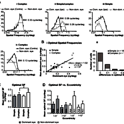 Spatial frequency tuning.